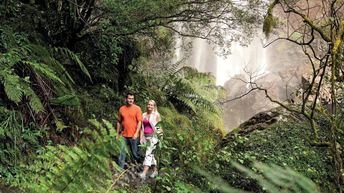 Queen Mary Falls Circuit Main Range National Park | Journeys | Queensland