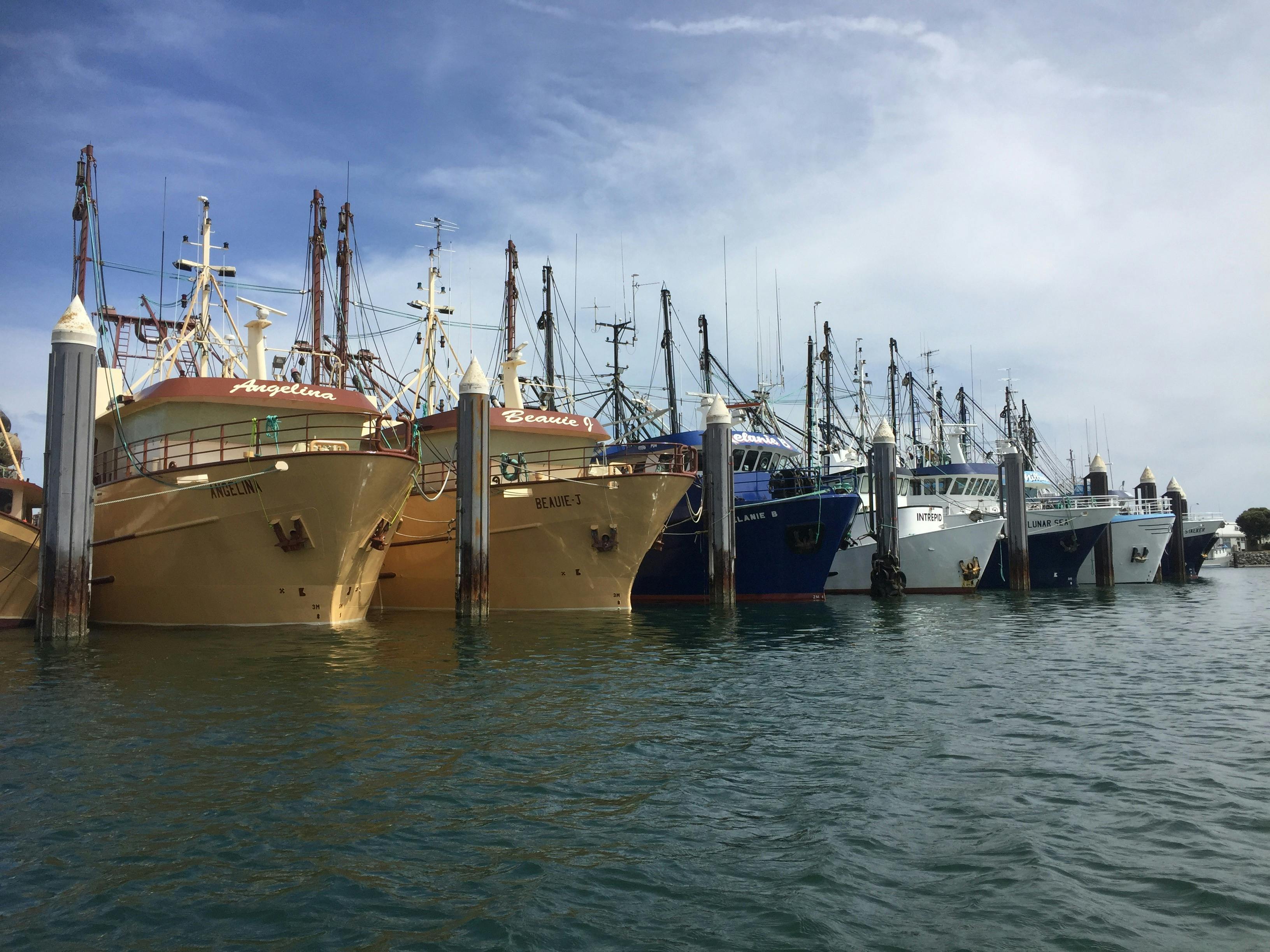 Seafood Bay Cruise, Tour Service | South Australia