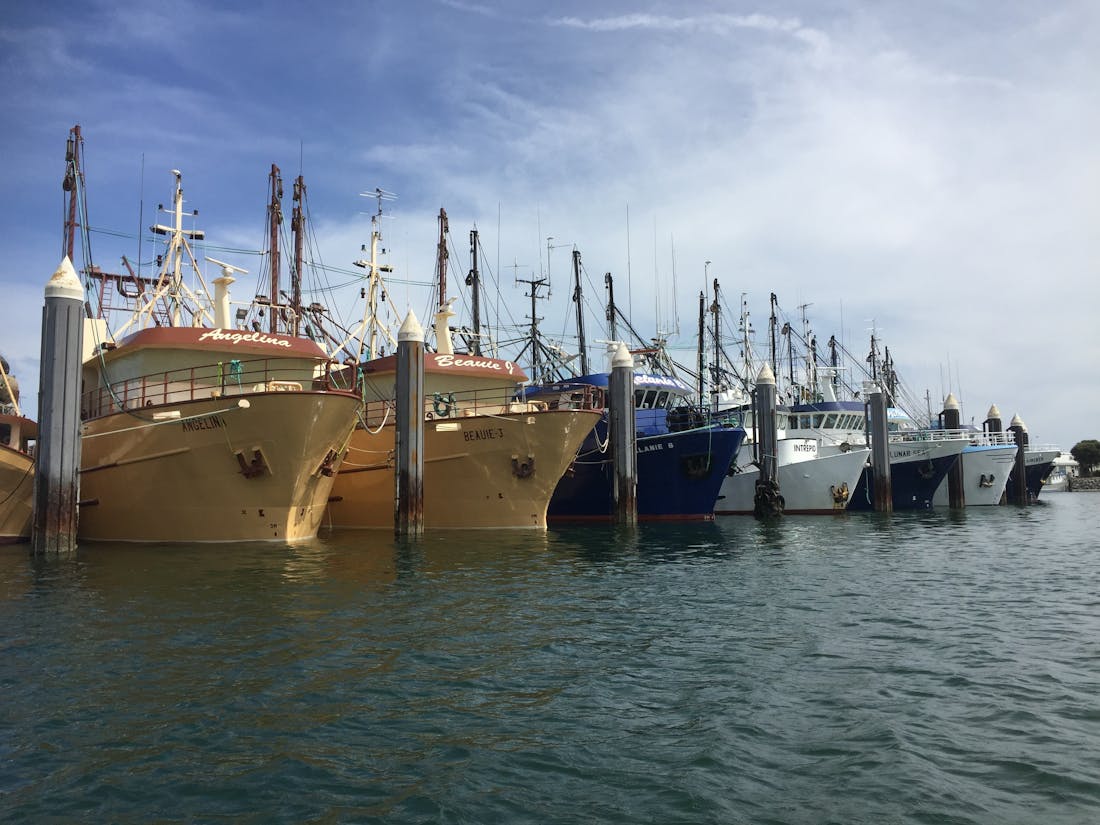 Seafood Bay Cruise, Tour Service | South Australia