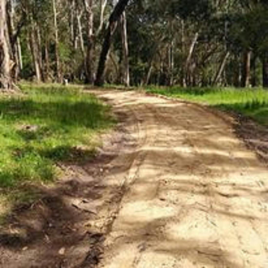 Mount Burr Recreational Trails - Millicent, Attraction | South Au...