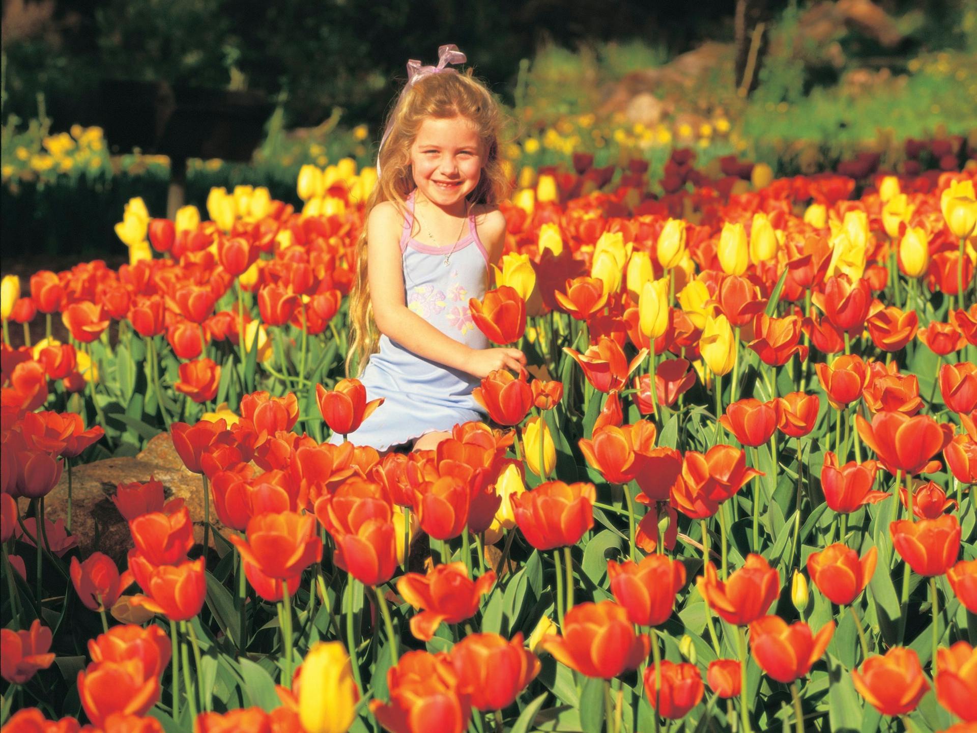 Araluen Botanic Park in Roleystone - The Fold: Your Guide to Everything ...