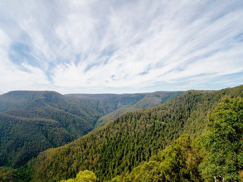 Barrington Tops National Park (Southern Gateway) | NSW Holidays ...