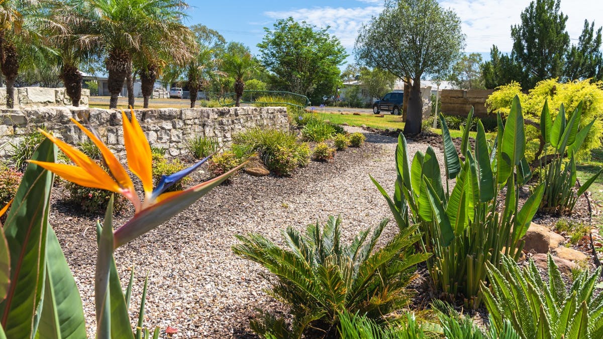 Injune | Destination-information | Queensland