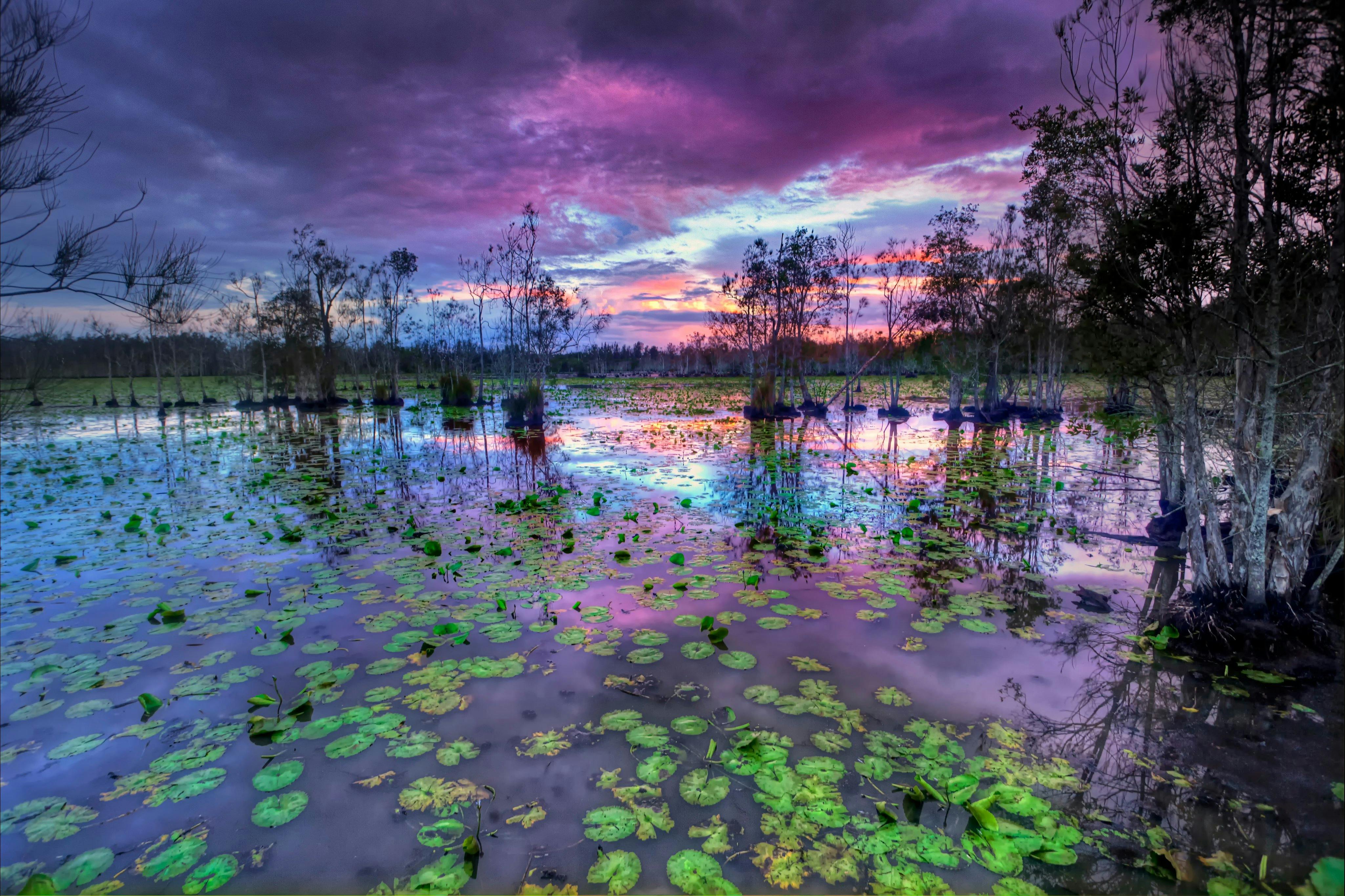 Cattai Wetlands | Sydney, Australia - Official Travel & Accommodation ...