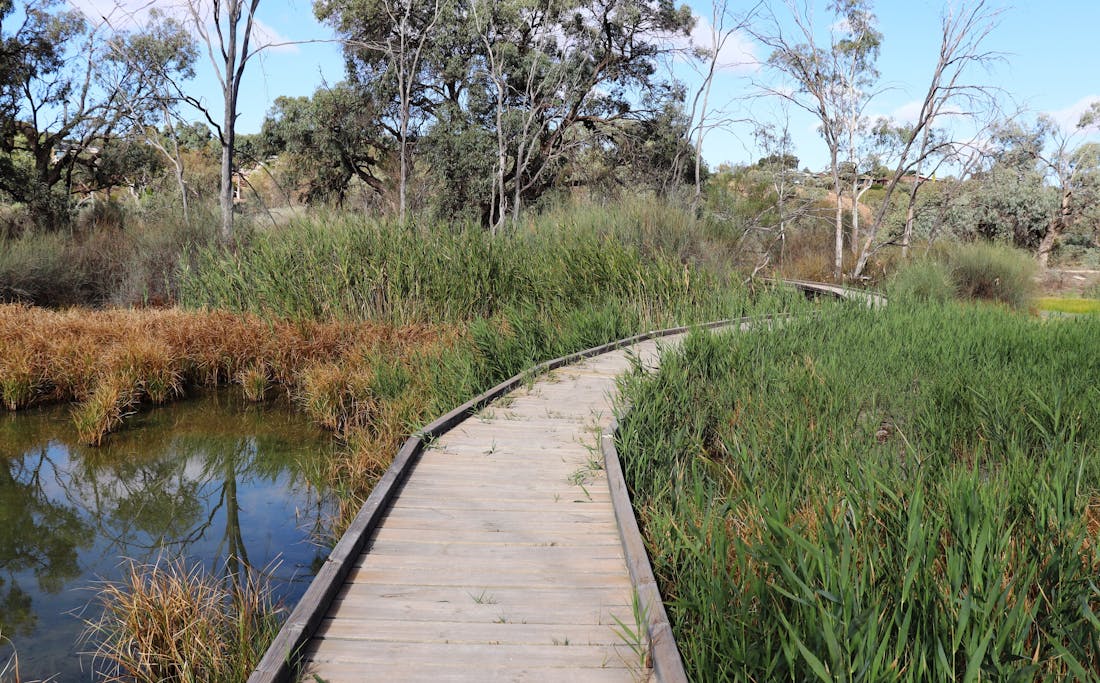 Sarnya Parker Walk - Loxton, Journey | South Australia