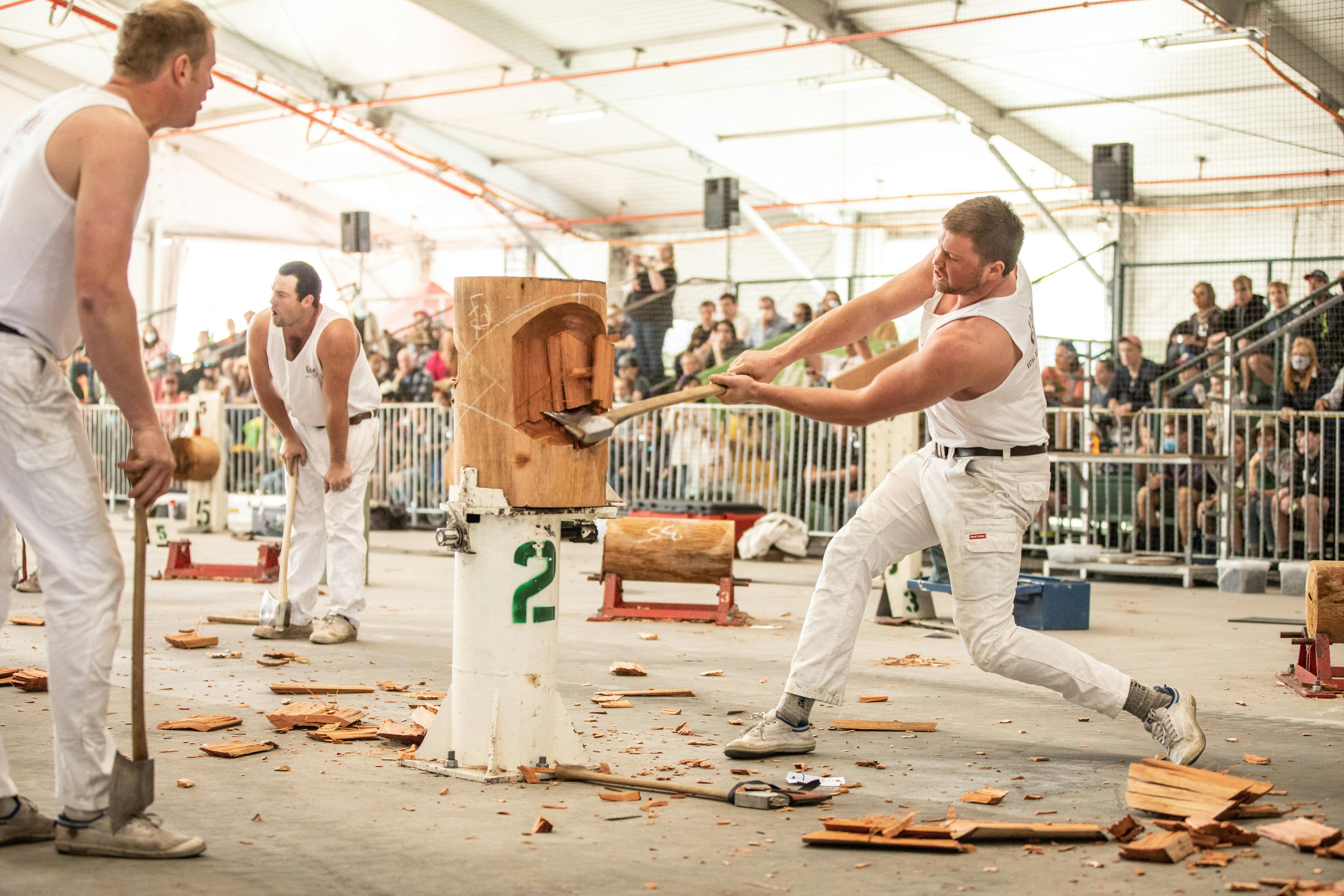 Ekka | Royal Queensland Show