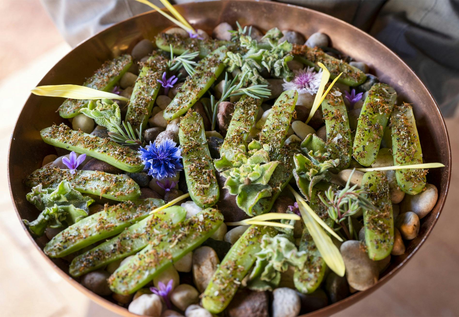 Tali Wiru | tour by Tali Wiru