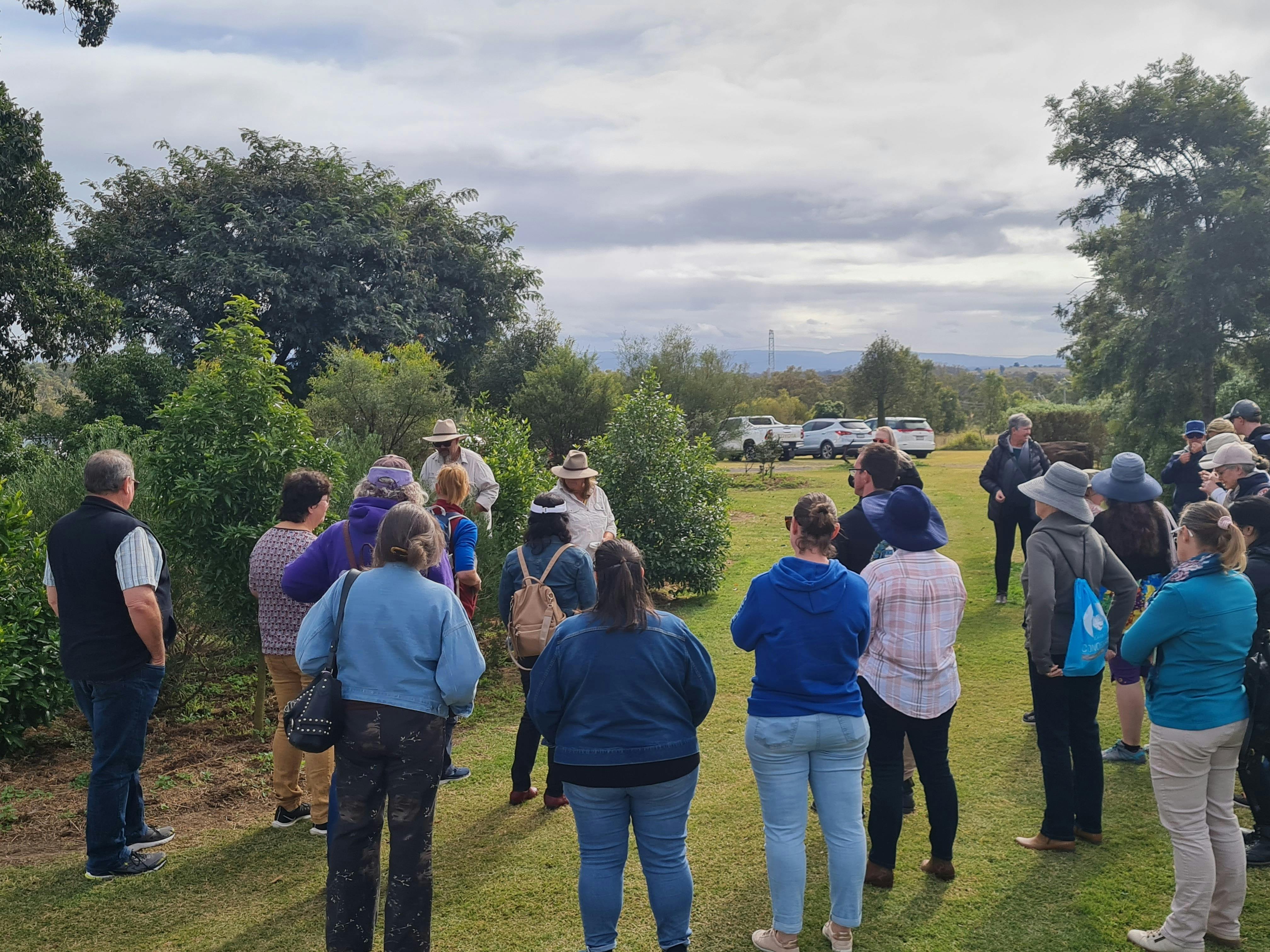 Native Oz Bushfoods Cultural Eco Tour | Tours | Queensland