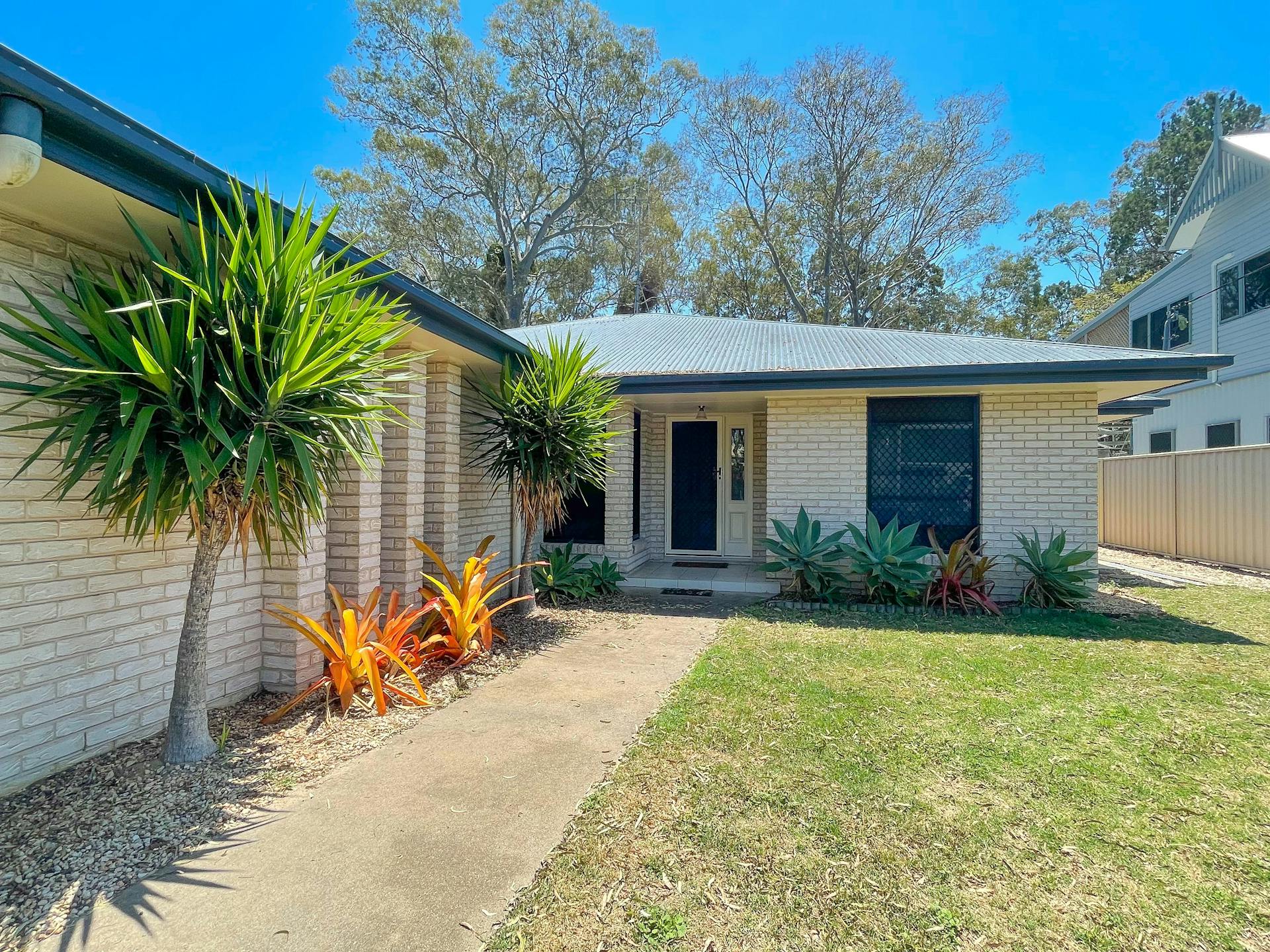 Wags On The Beach in Toogoom - The Fold: Your Guide to Everything ...