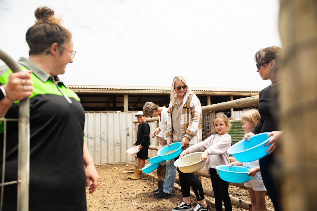 Tarnasey Farm Little Farmer Tours - Wallaroo, Tour Service