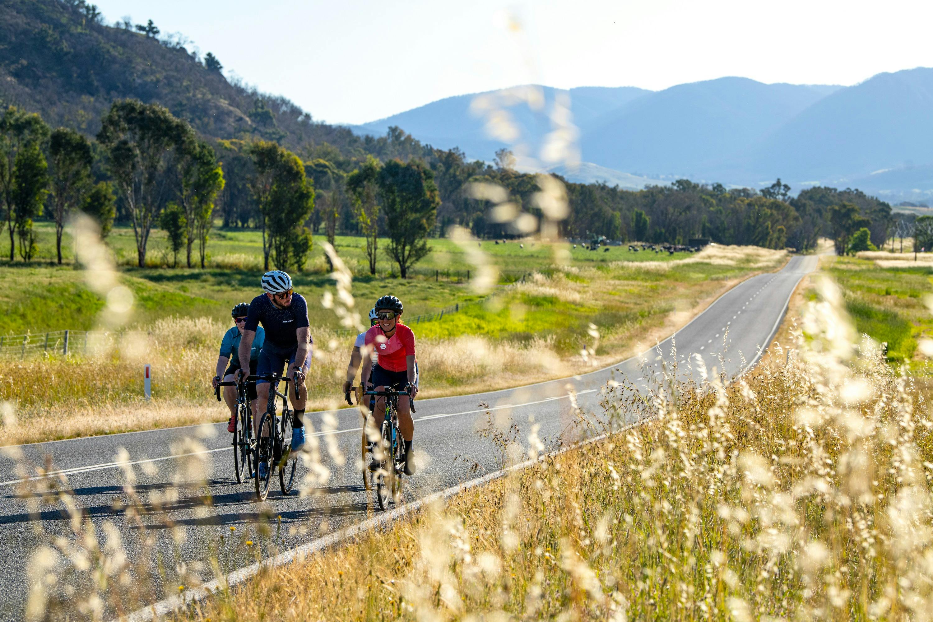 Corryong - Victoria's High Country
