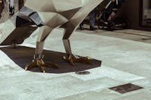 'Pigeon' Sculpture - Adelaide, Attraction | South Australia