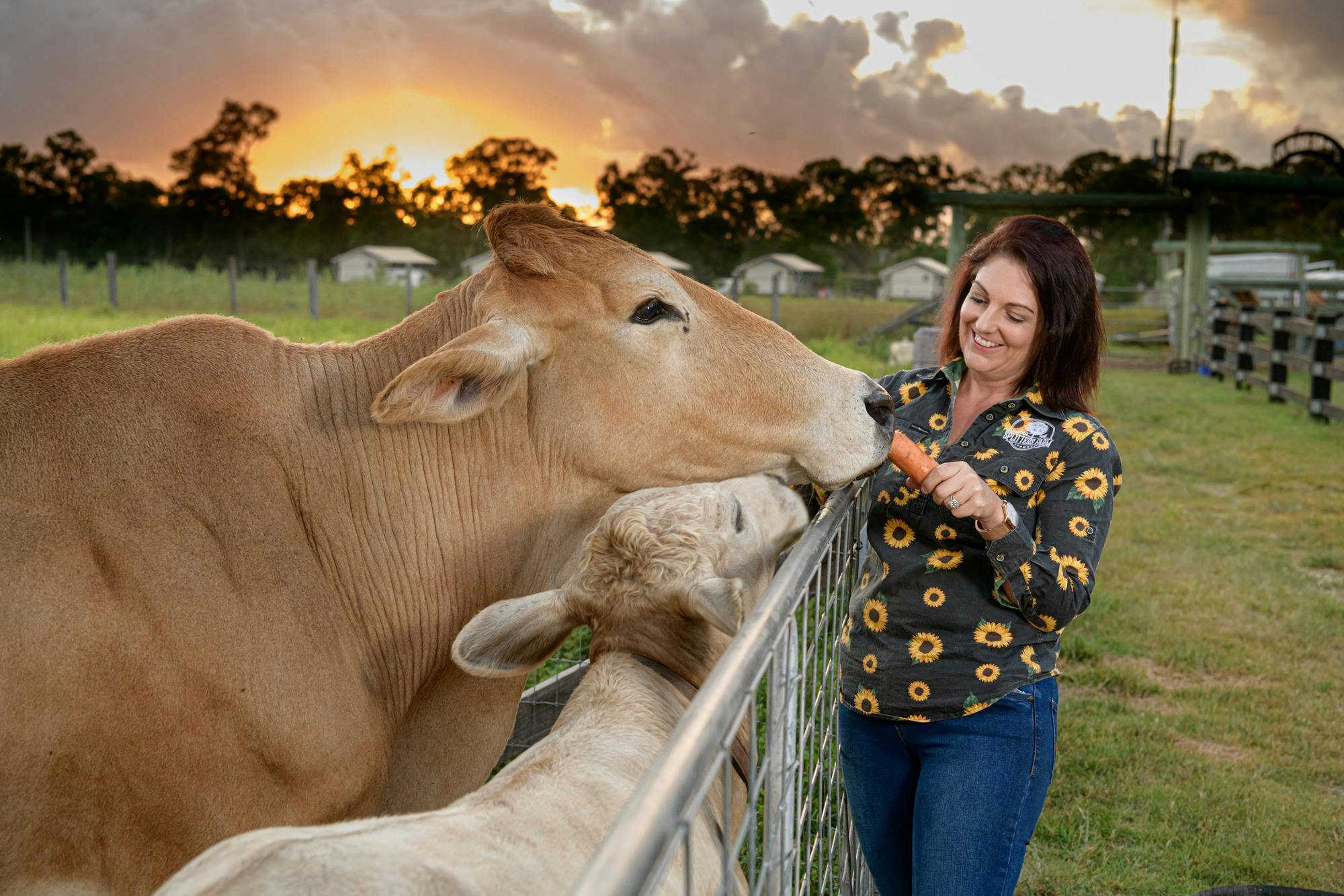 Splitters Farm Camping Glamping | Accommodation | Queensland
