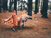 Kuitpo Forest - Kuitpo, Attraction | South Australia