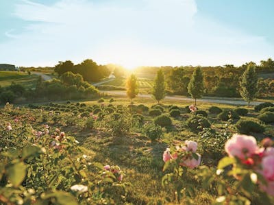 Echunga | Visit Adelaide Hills