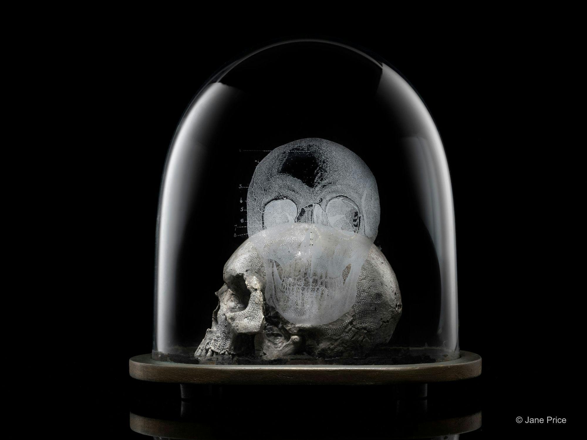 Experience Adelaide | 2026 Waterhouse Natural Science Art Prize…