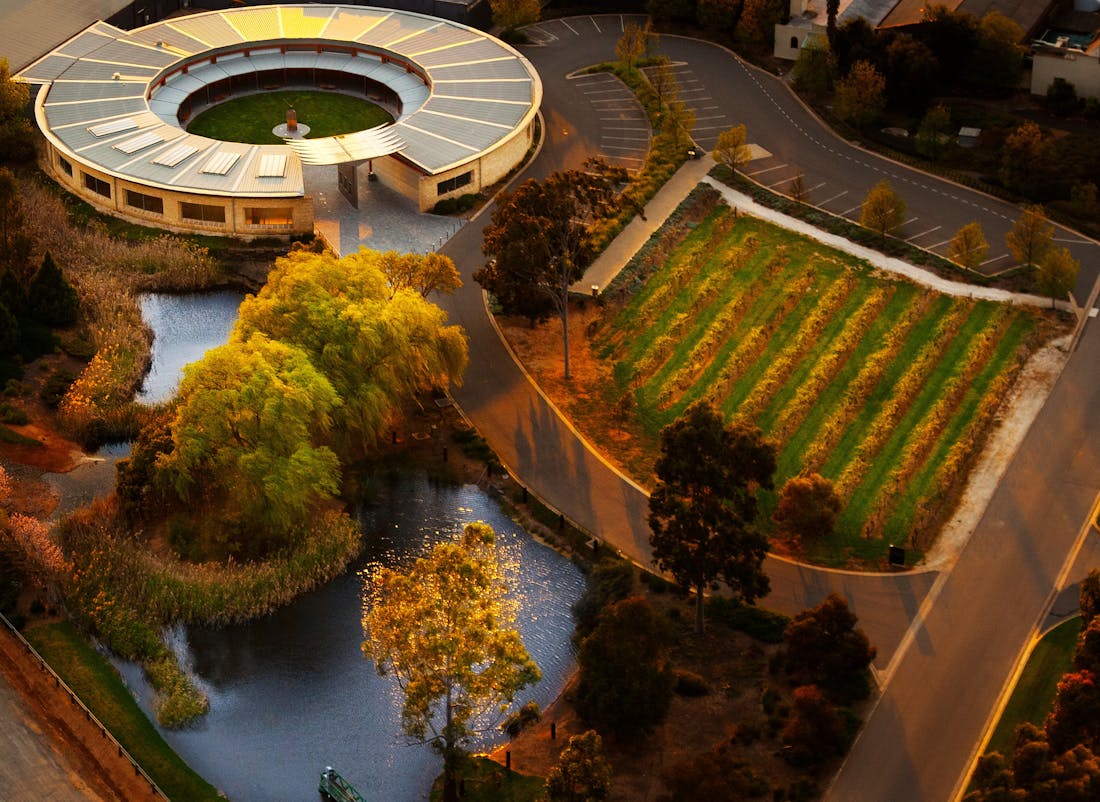 Wolf Blass Cellar Door and Visitor Centre - Nuriootpa, Food and D...