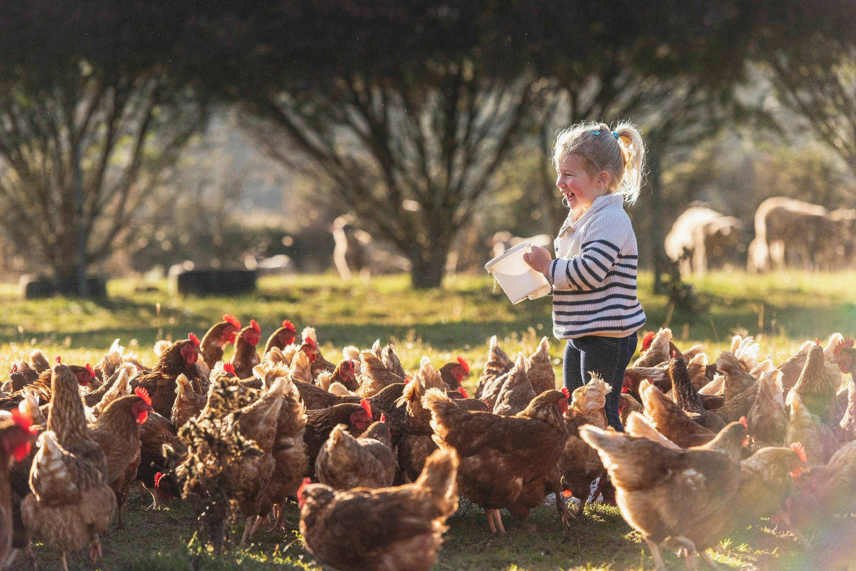Guide Falls Farm | Nature and wildlife | Discover Tasmania