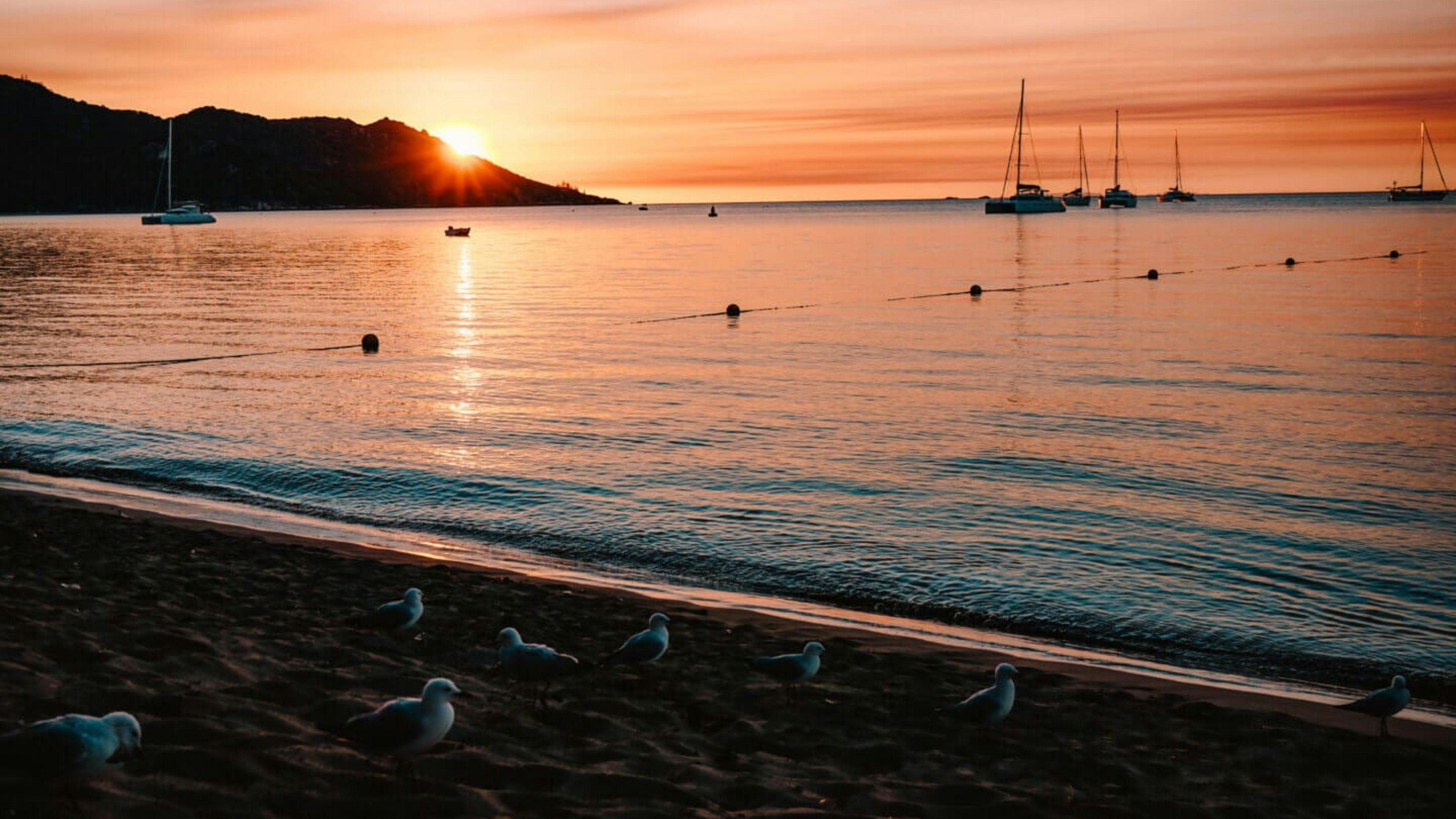 Cheap And Cheerful Horseshoe Bay | Accommodation | Queensland