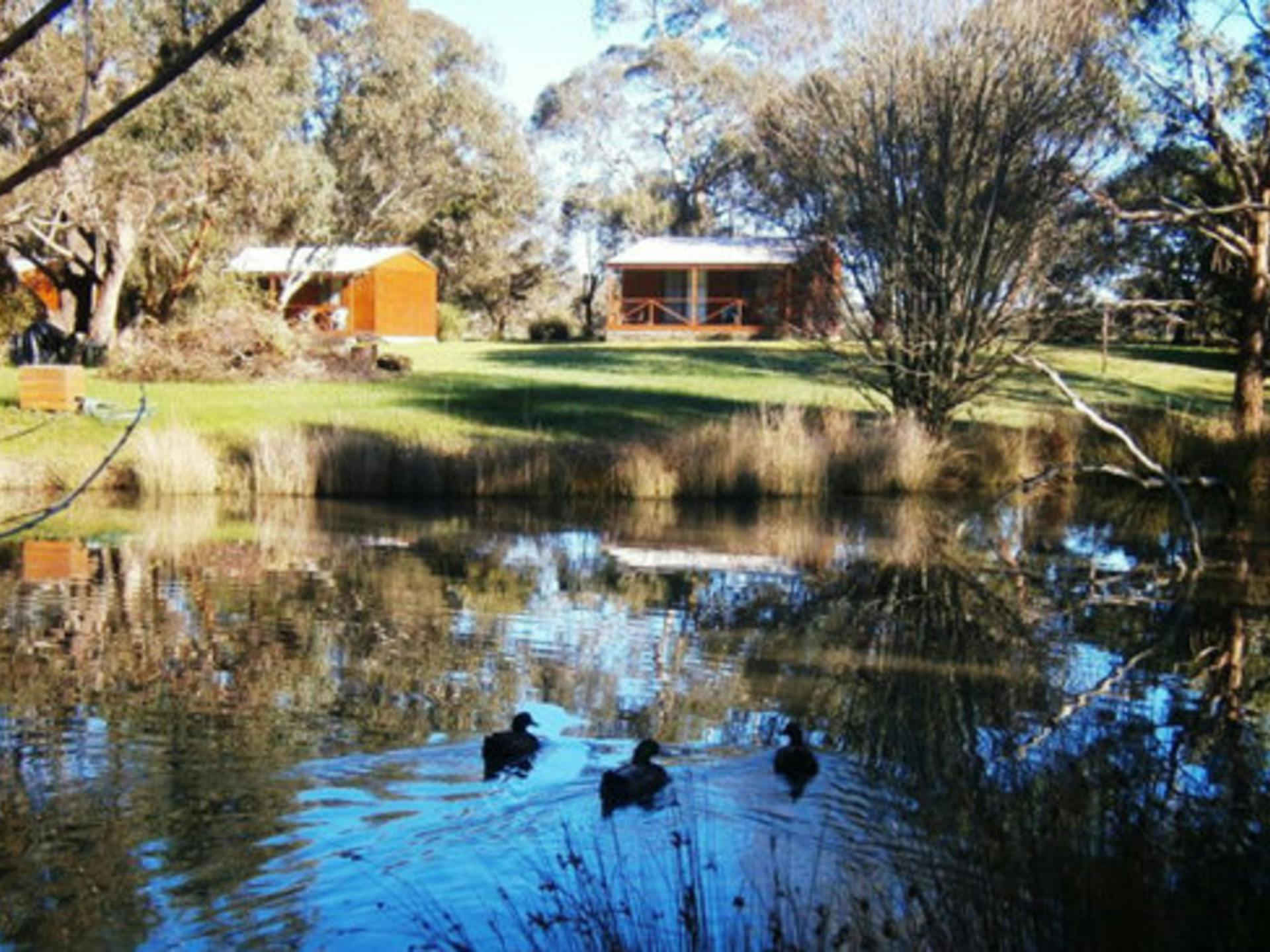 Compass Country Cabins in Mount Compass - The Fold: Your Guide to ...