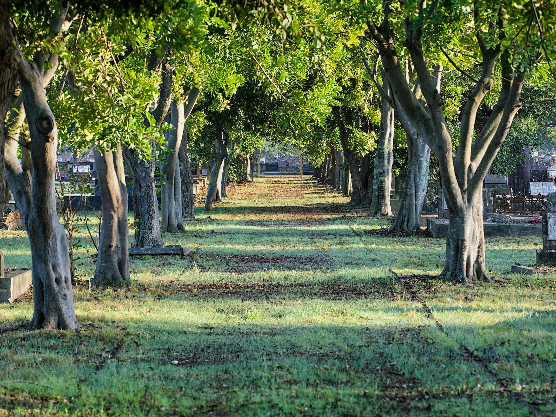 Sandgate Cemetery in Sandgate - The Fold: Your Guide to Everything ...