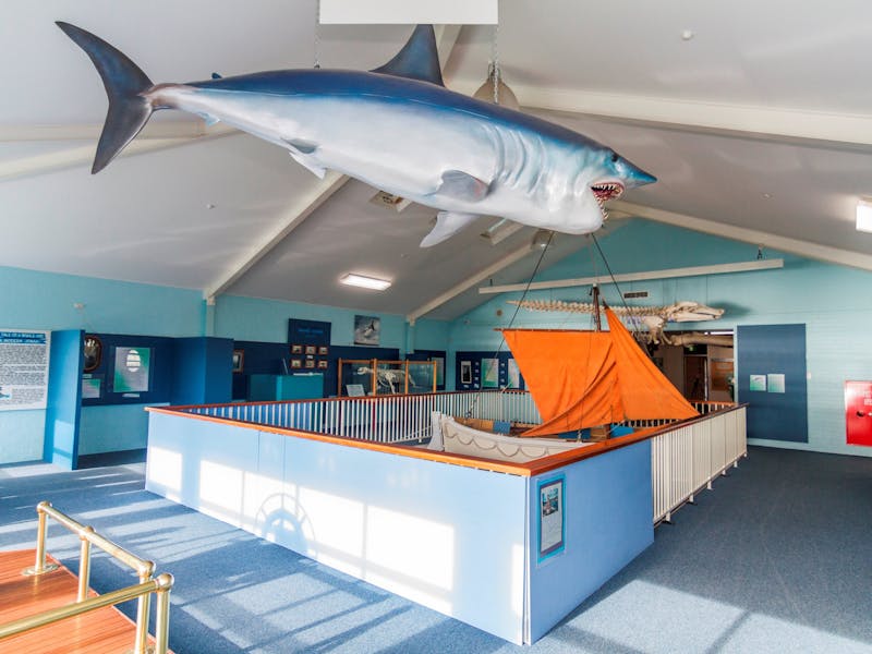 Eden Killer Whale Museum | NSW Holidays & Accommodation, Things to Do ...