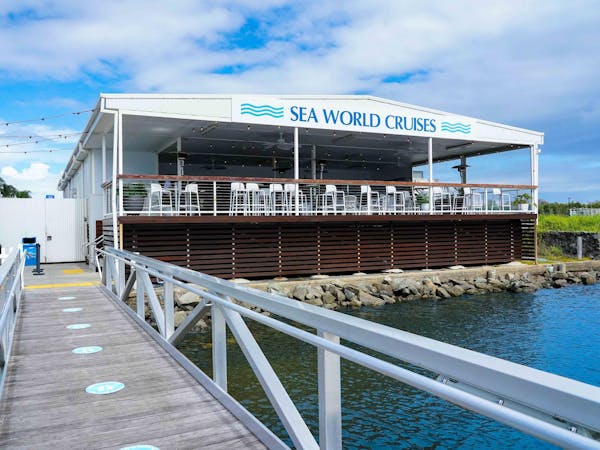 Sea World Whale Watch | Tours | Queensland