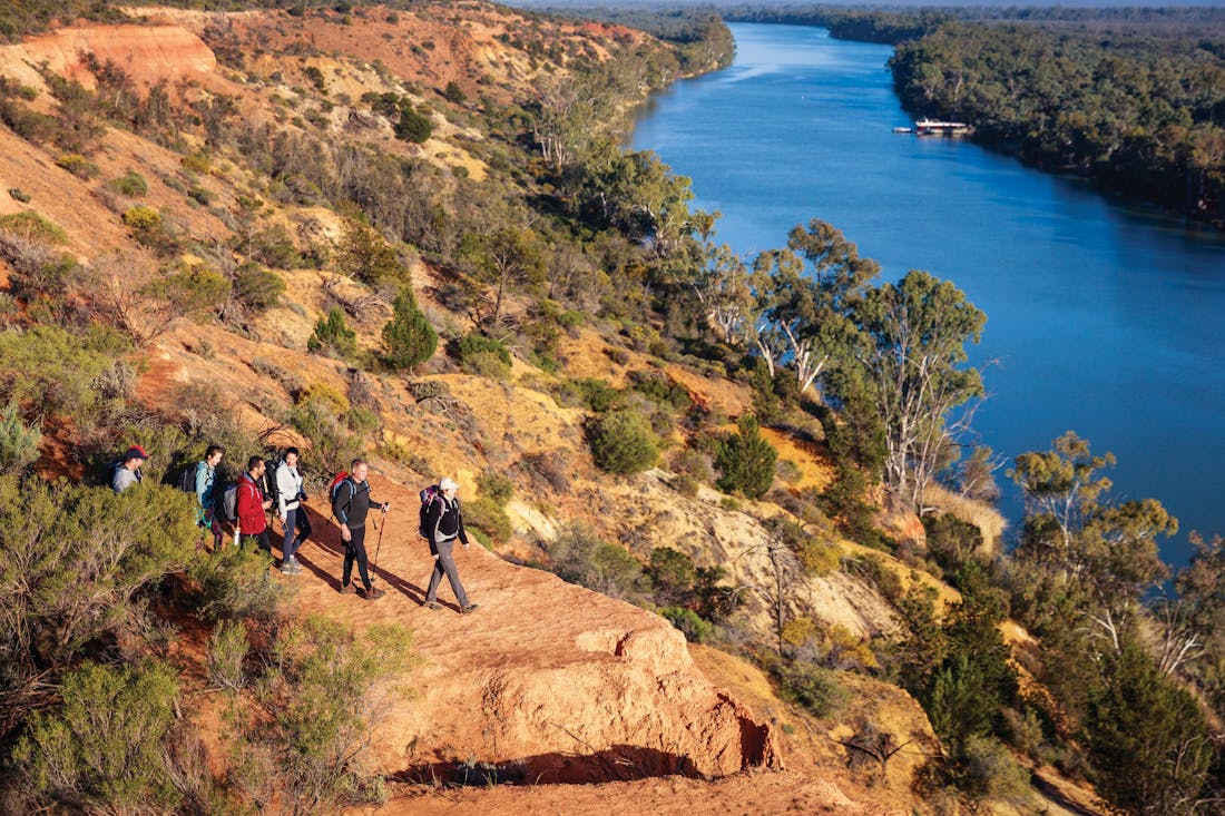 Headings Cliff Lookout - Murtho, Attraction | South Australia