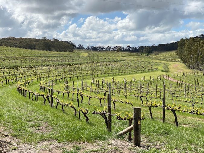 Clare Valley Wine Tours - Clare, Tour | SA Tourism