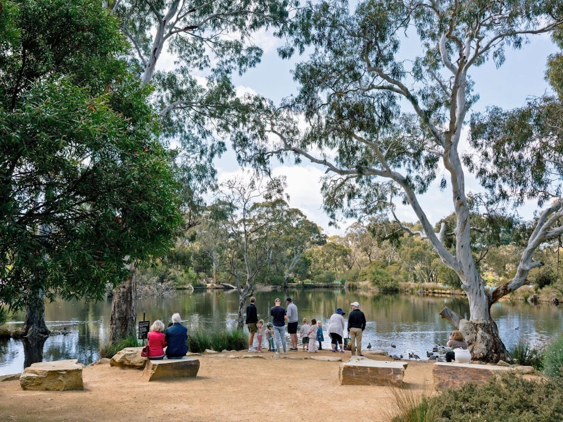 Wittunga Botanic Garden - Adelaide, Attraction | South Australia