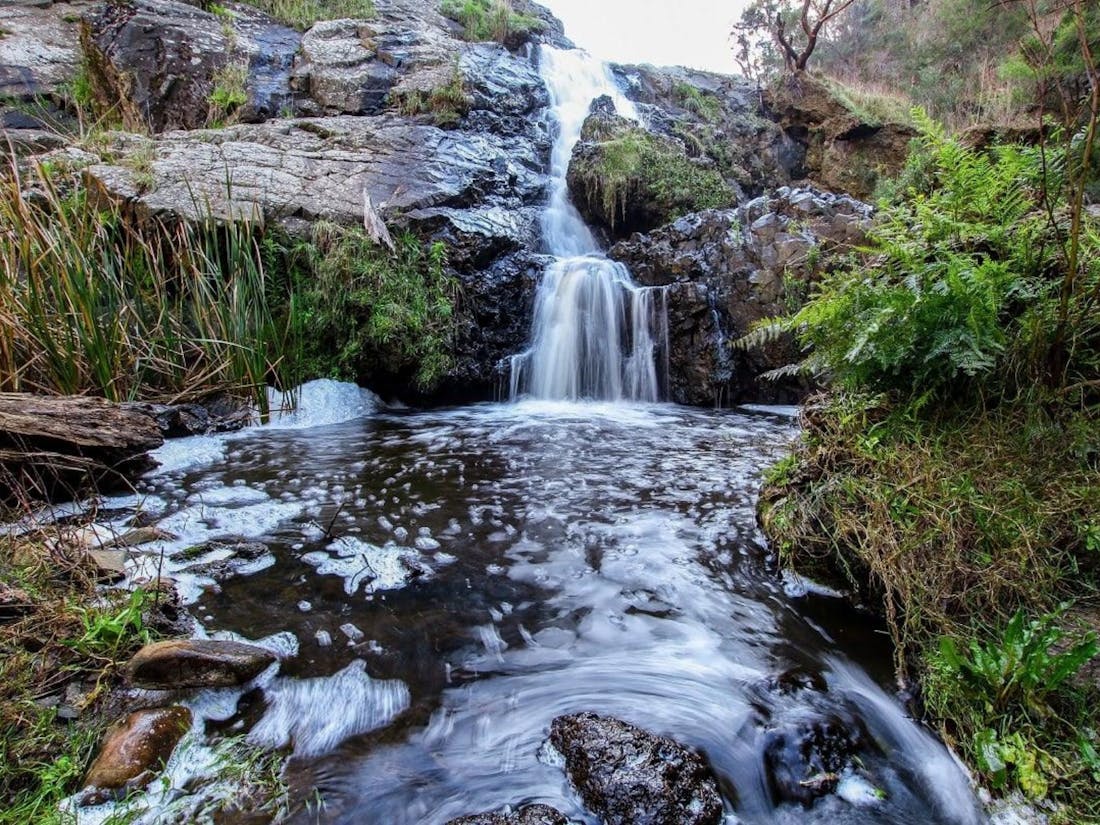Hindmarsh Falls - Hindmarsh Valley, Attraction | South Australia