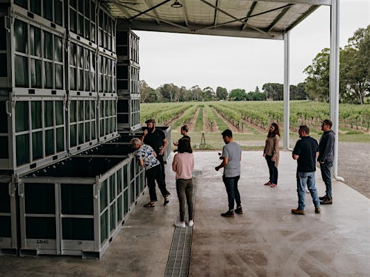 Kies Family Wines - Barossa Valley Winery Experiences - Lyndoch,