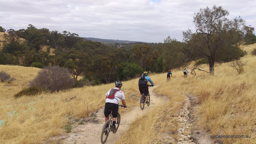 Adelaide Hills by Mountain Bike- private guiding - Adelaide, Tour...