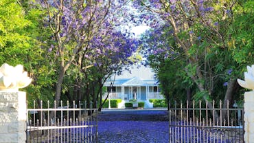 Spring Bluff | Destination-information | Queensland