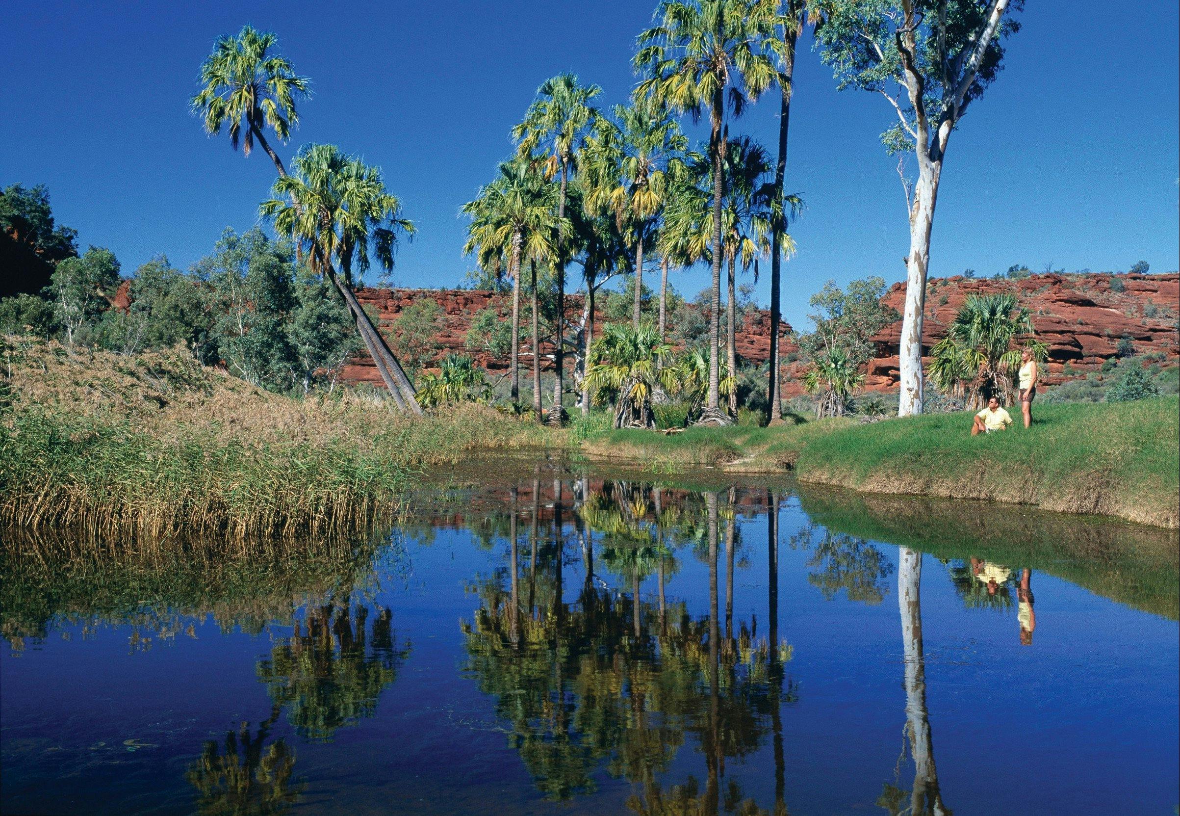 Finke Gorge National Park | Things to do in Finke Gorge National Park