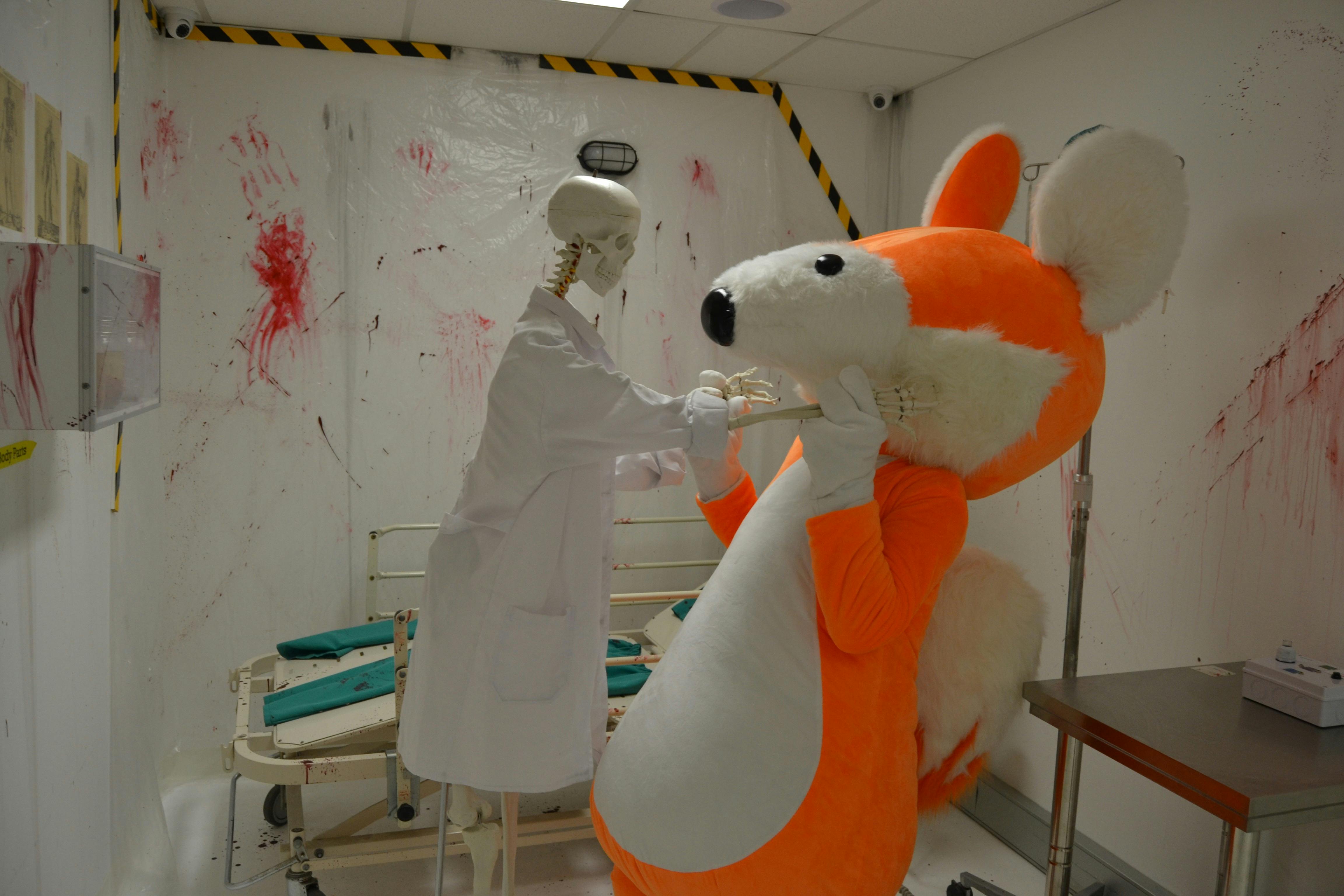 Experience Adelaide | Fox in a Box Escape Rooms Adelaide