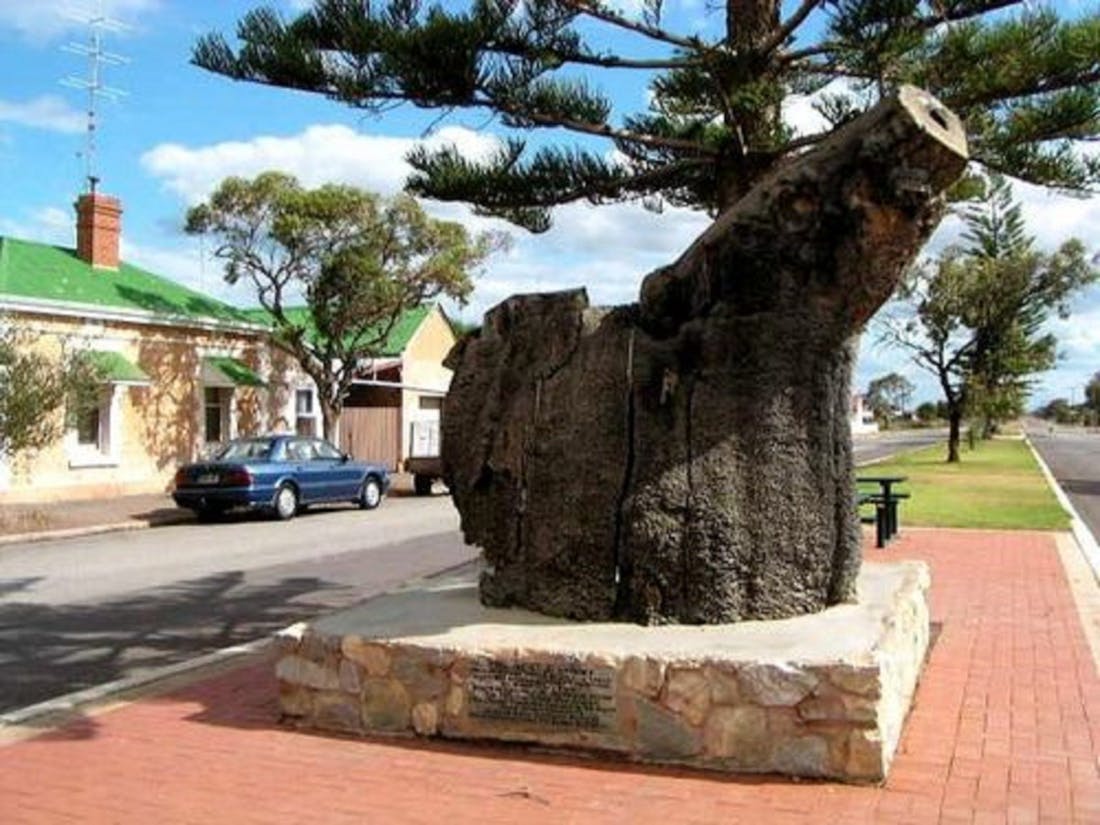 The Black Stump - Cowell, Attraction | South Australia