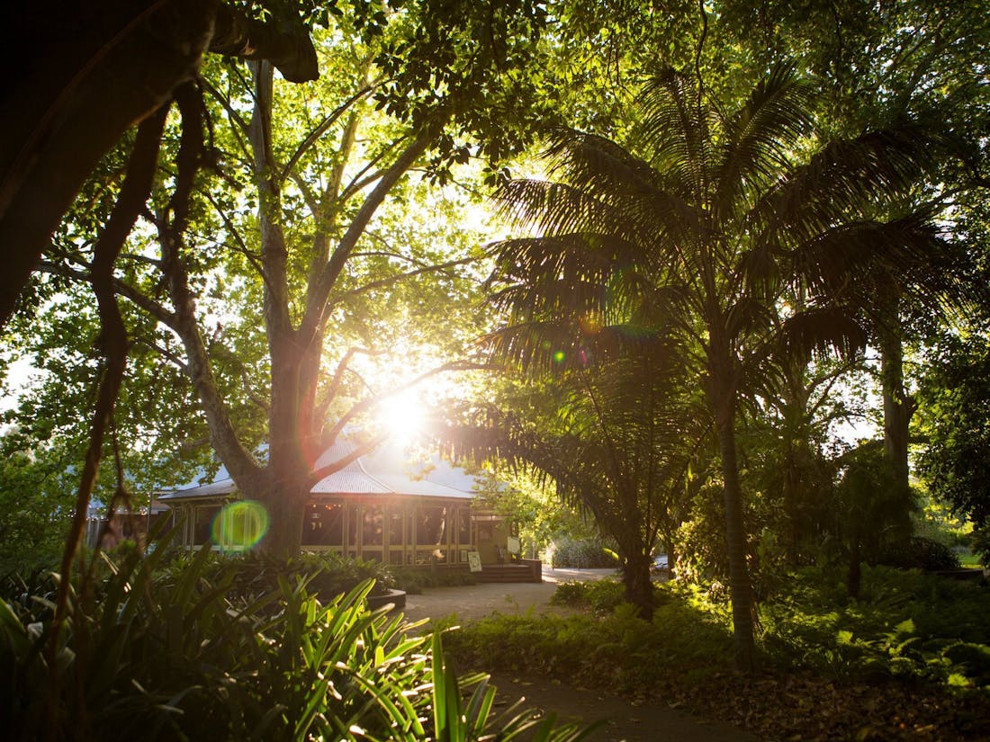 Restaurant Botanic - Adelaide, Food and Drink | South Australia