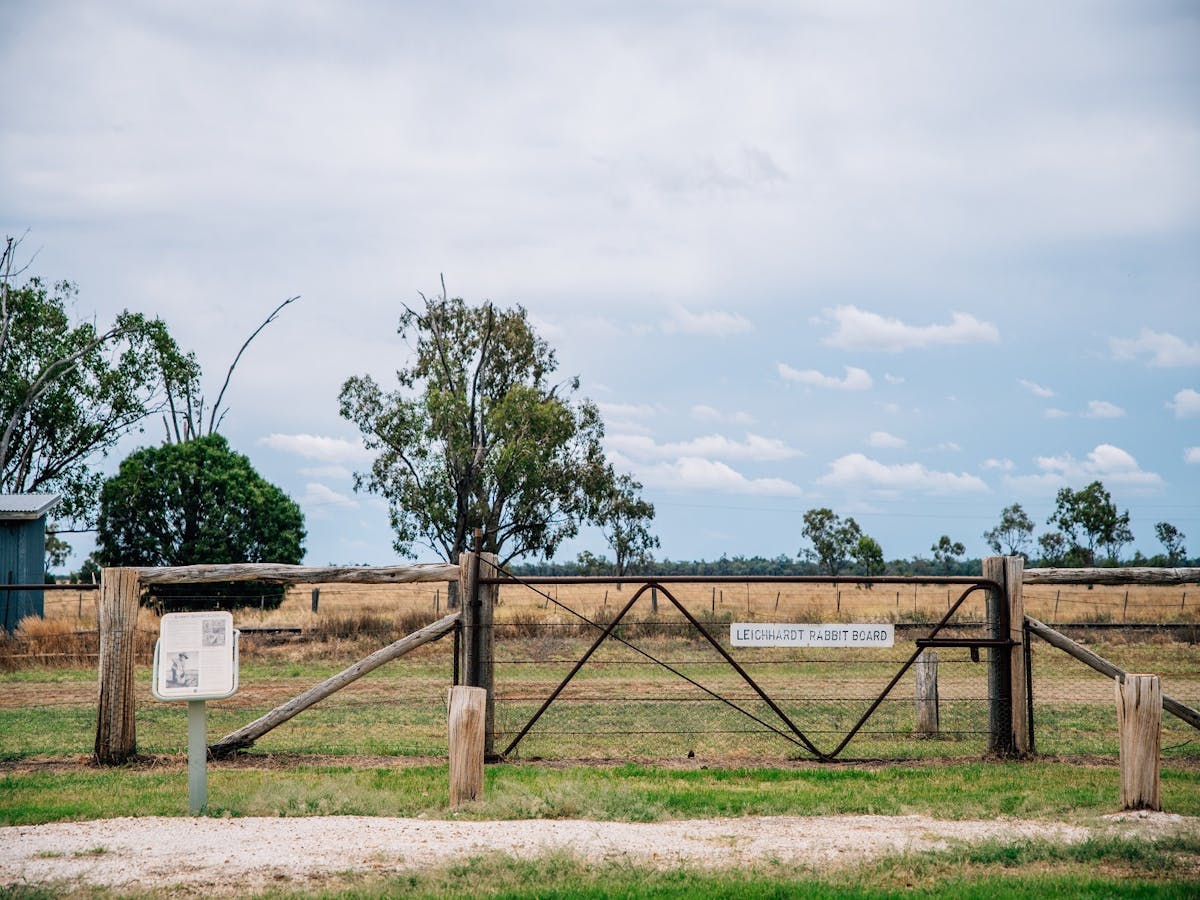 Morven Rabbit Board Gate