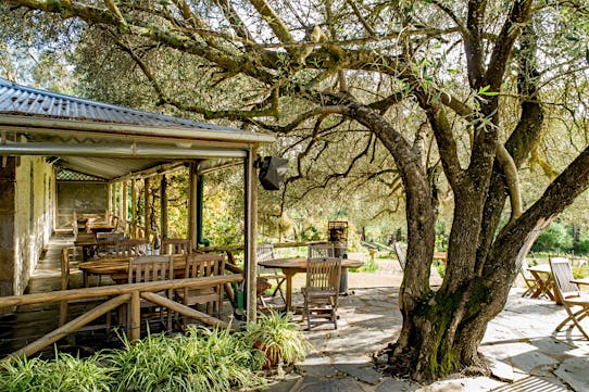 Skillogalee Restaurant and Cellar Door - Sevenhill, Food and Drin...