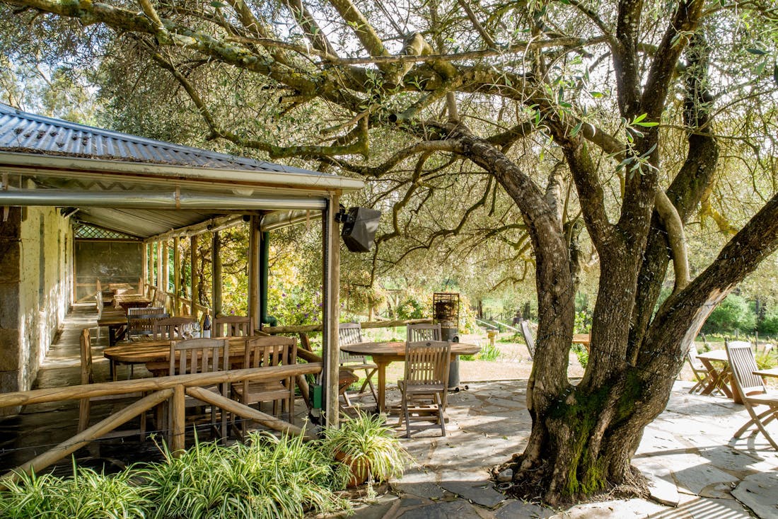 Skillogalee Restaurant & Cellar Door - Sevenhill, Food and Drink ...