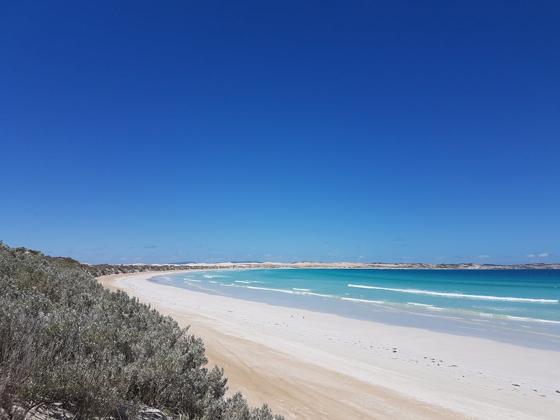 Coffin Bay National Park Campgrounds - Coffin Bay, Accommodation ...