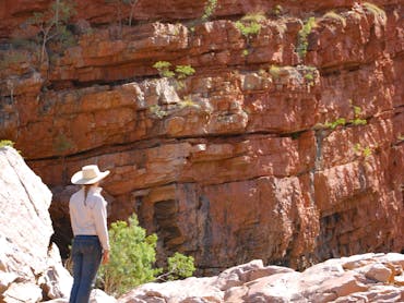 Windorah Caravan Park | Accommodation | Queensland