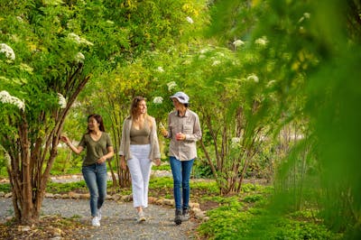 Jurlique Farm Tours & Experiences | Visit Adelaide Hills