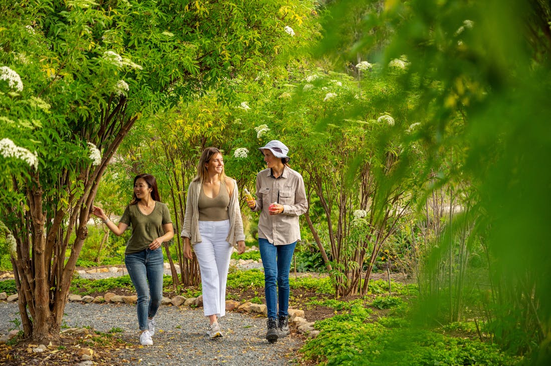 Jurlique Farm Tours & Experiences - Biggs Flat, Tour | South Australia