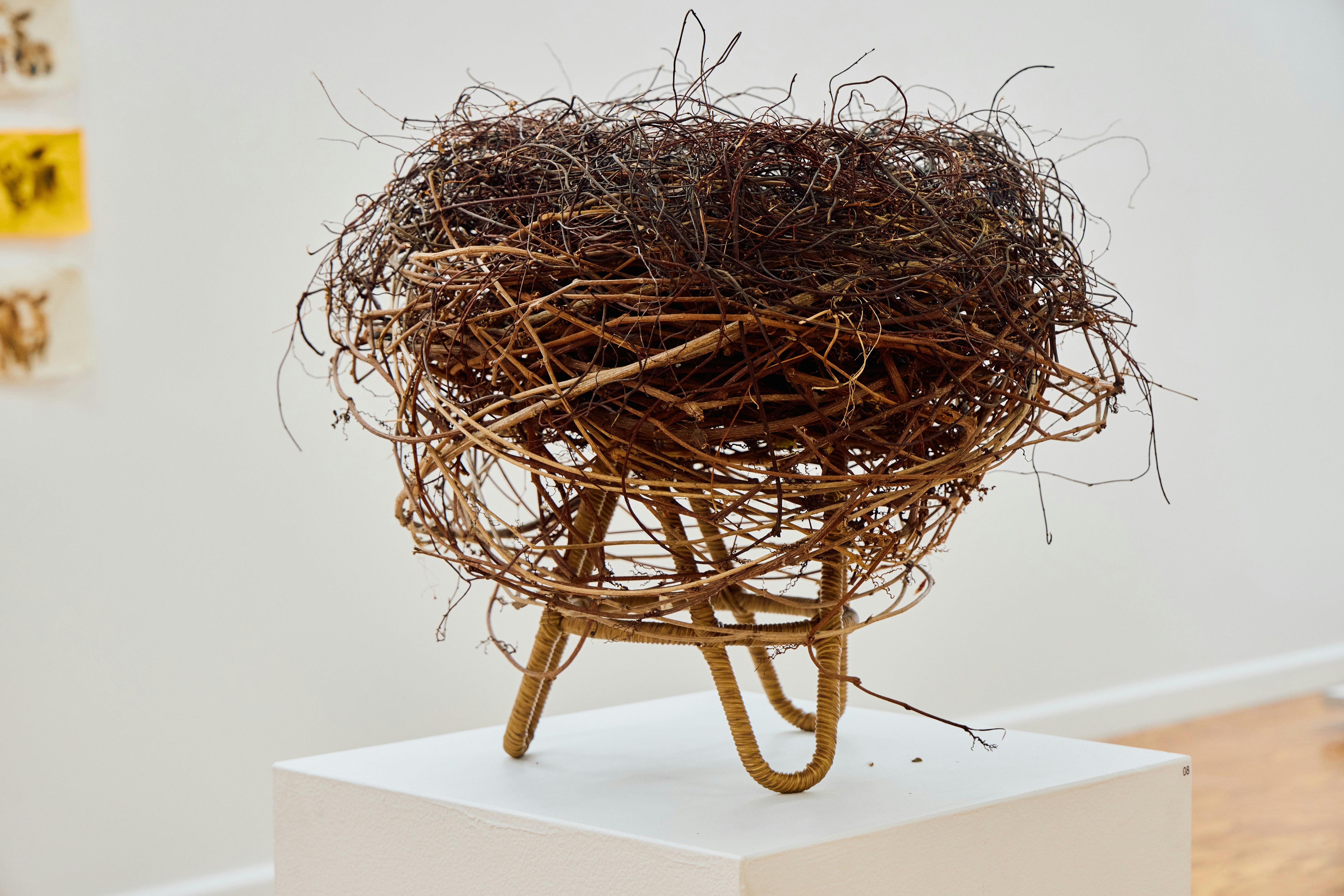 InterWoven | NSW Holidays & Accommodation, Things to Do, Attractions ...