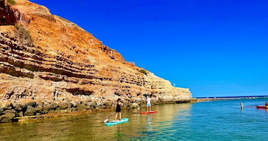 Gone AWOL - Moana, Tour | South Australia