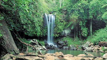 Spring Mountain Forest Park | Journeys | Queensland