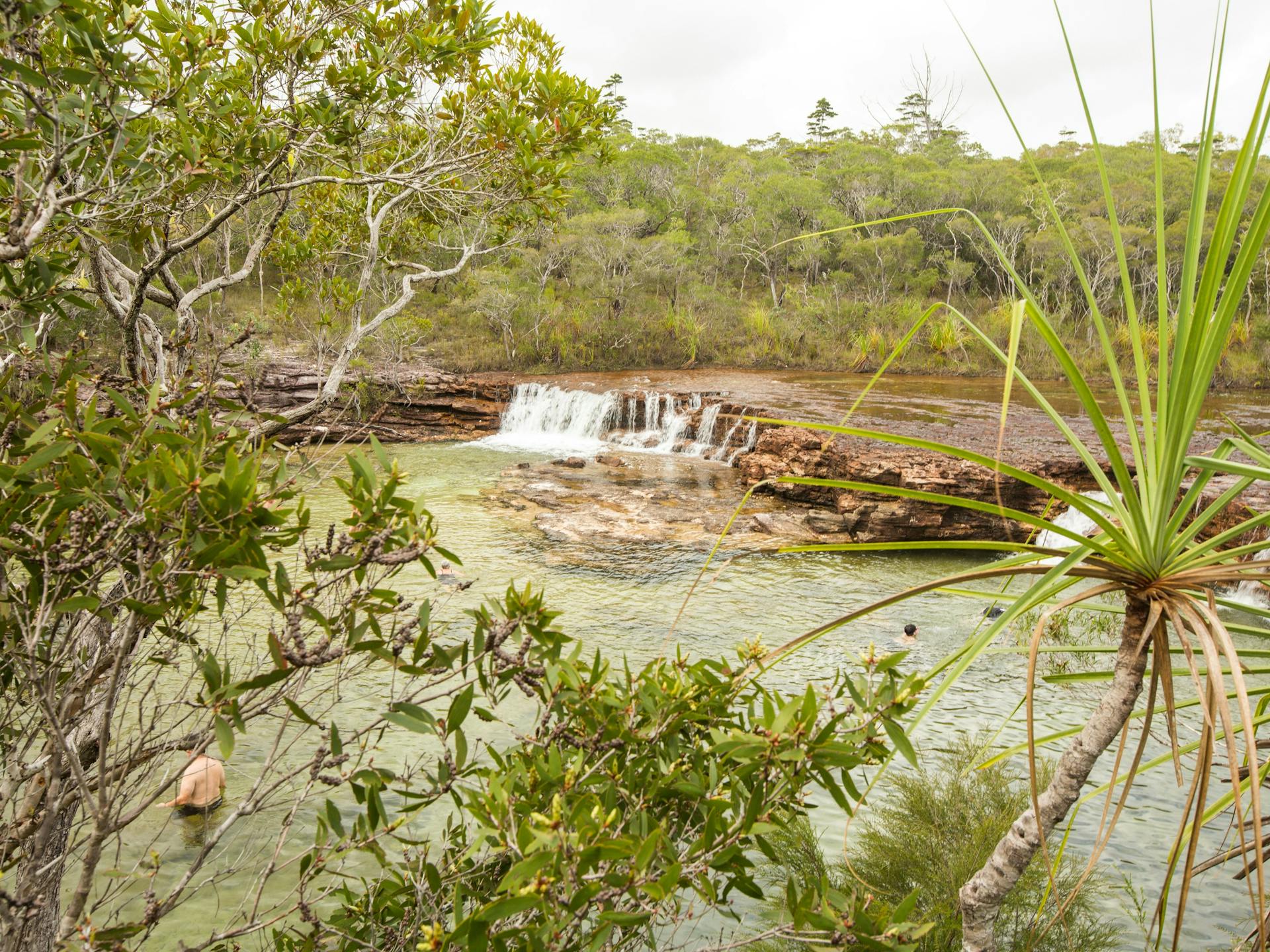 Fruit Bat Falls in Shelburne - The Fold: Your Guide to Everything ...