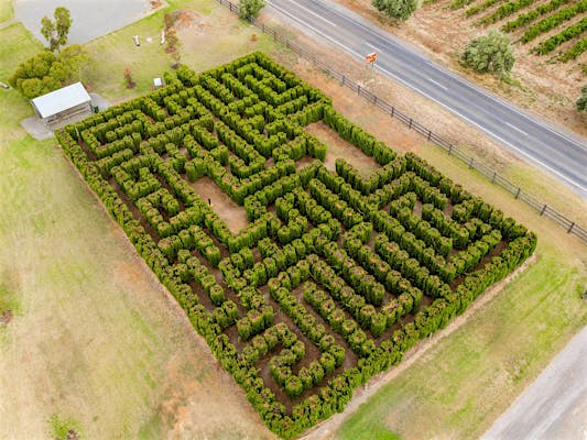 Maxwell Maze - McLaren Vale, Attraction | South Australia